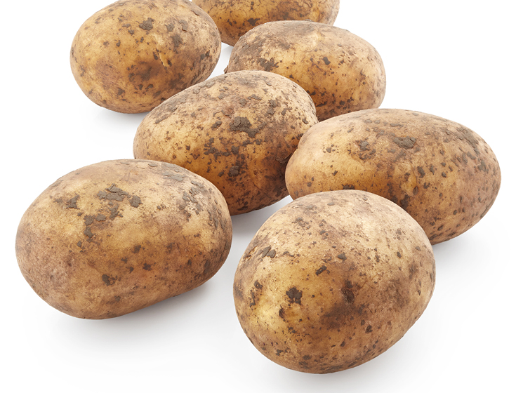 BASF | Product Profile - Poast® Ultra